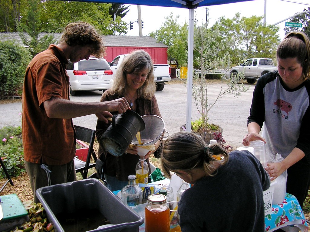Cider Making – Milo Mitchel